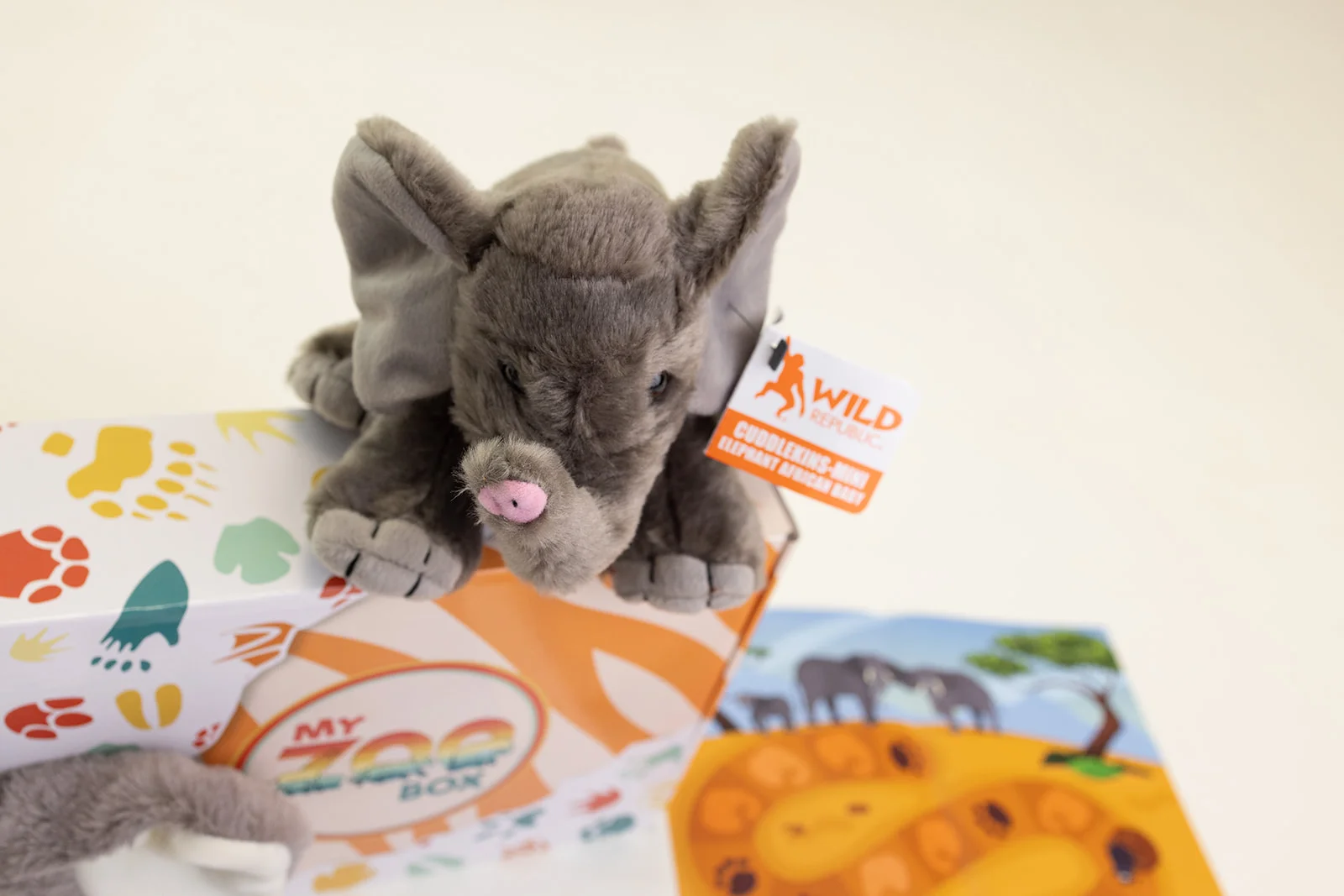 Kids’ Zoology Subscription Boxes | My ZOO Box