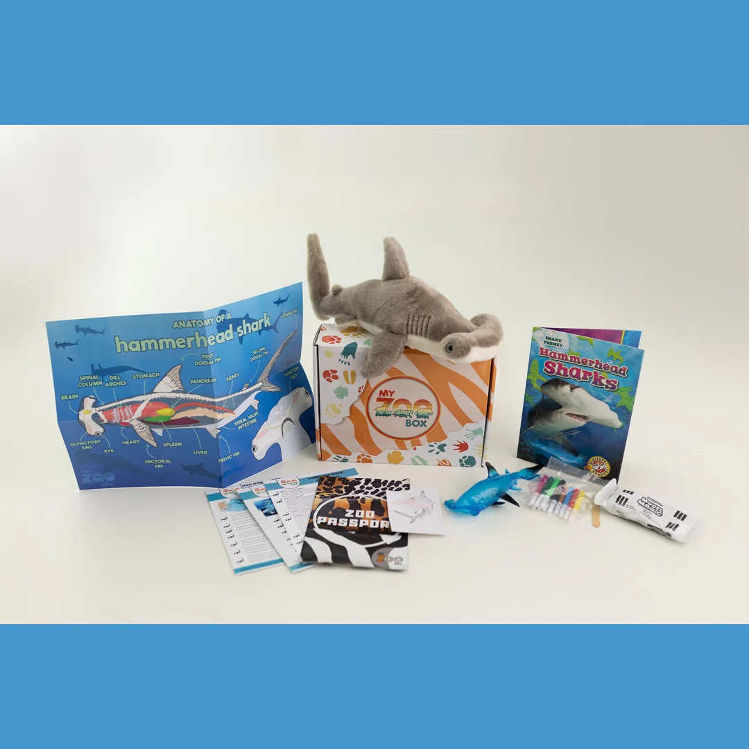 Kids’ Zoology Subscription Boxes | My ZOO Box