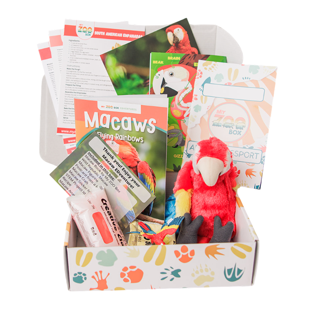 Kids’ Zoology Club Boxes | My ZOO Box
