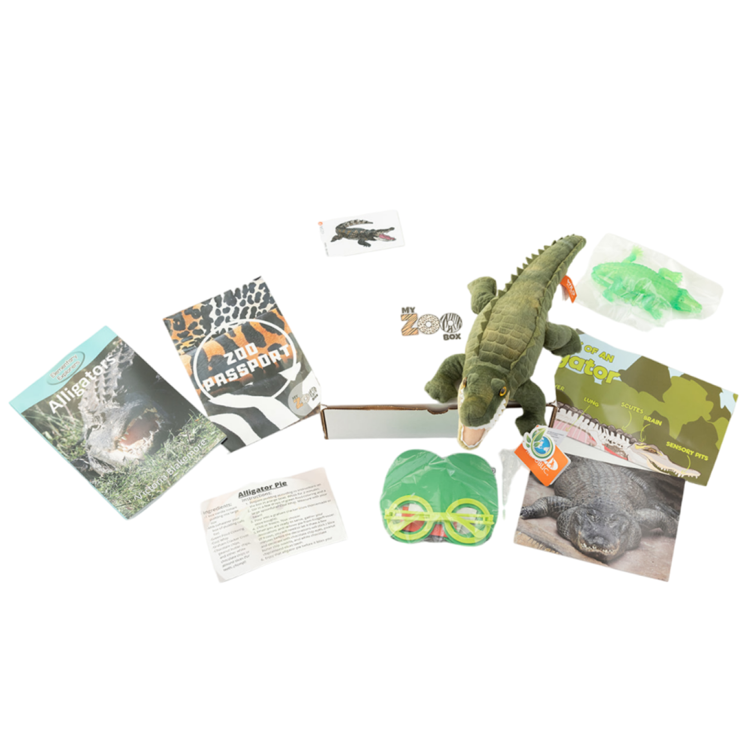 Kids’ Zoology Club Boxes | My ZOO Box