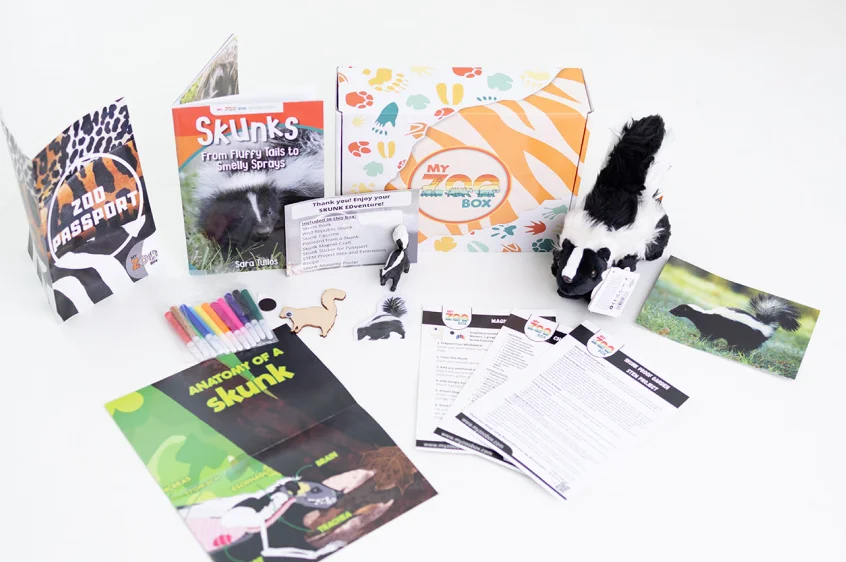 Kids’ Zoology Club Boxes | My ZOO Box
