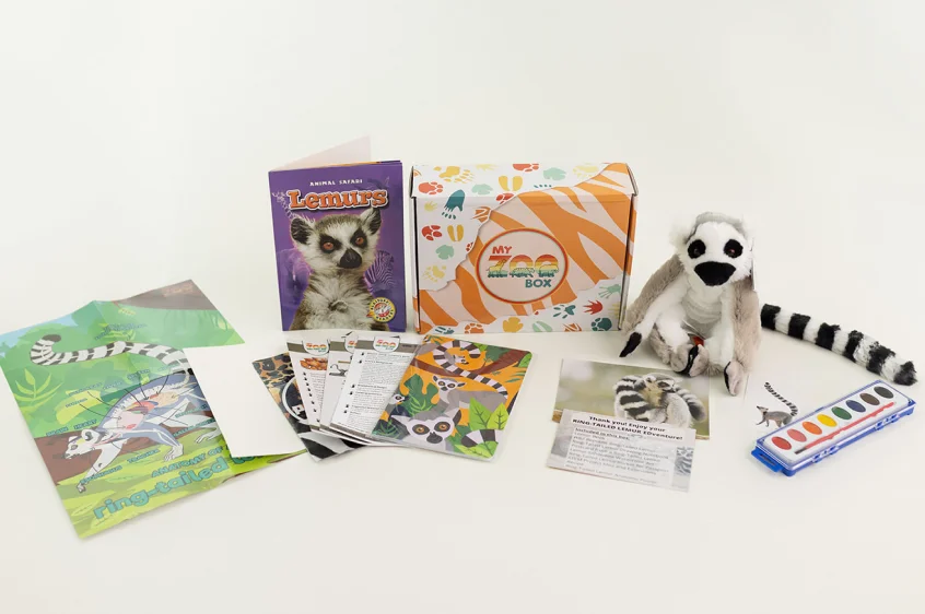 Kids’ Zoology Club Boxes | My ZOO Box
