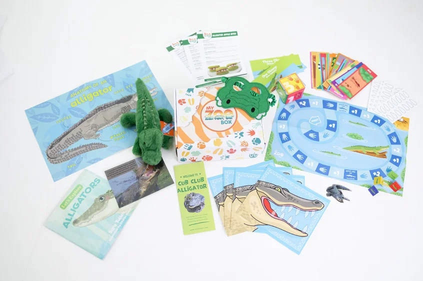 Kids’ Zoology Club Boxes | My ZOO Box
