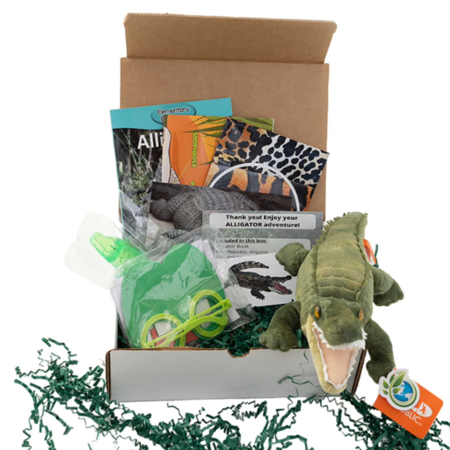 Kids’ Zoology Club Boxes | My ZOO Box