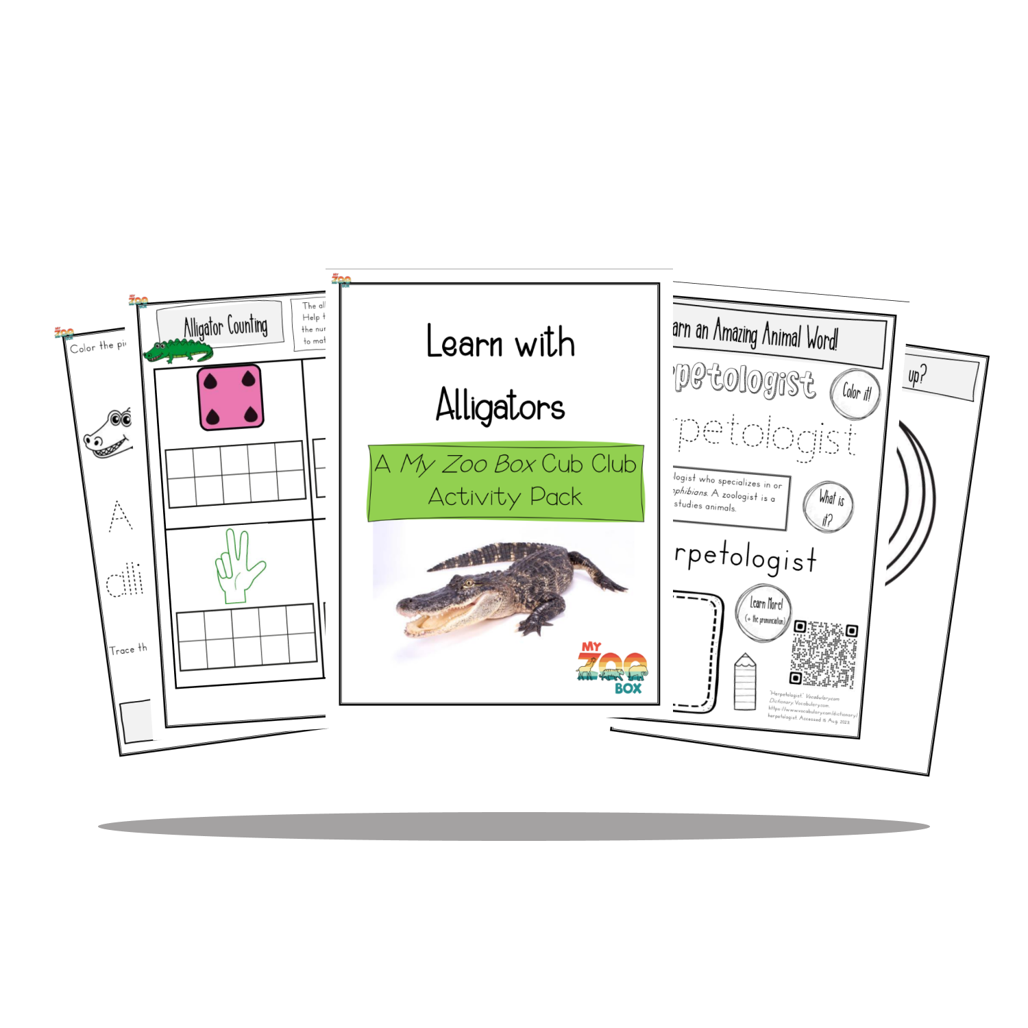 Kids’ Zoology Club Boxes | My ZOO Box