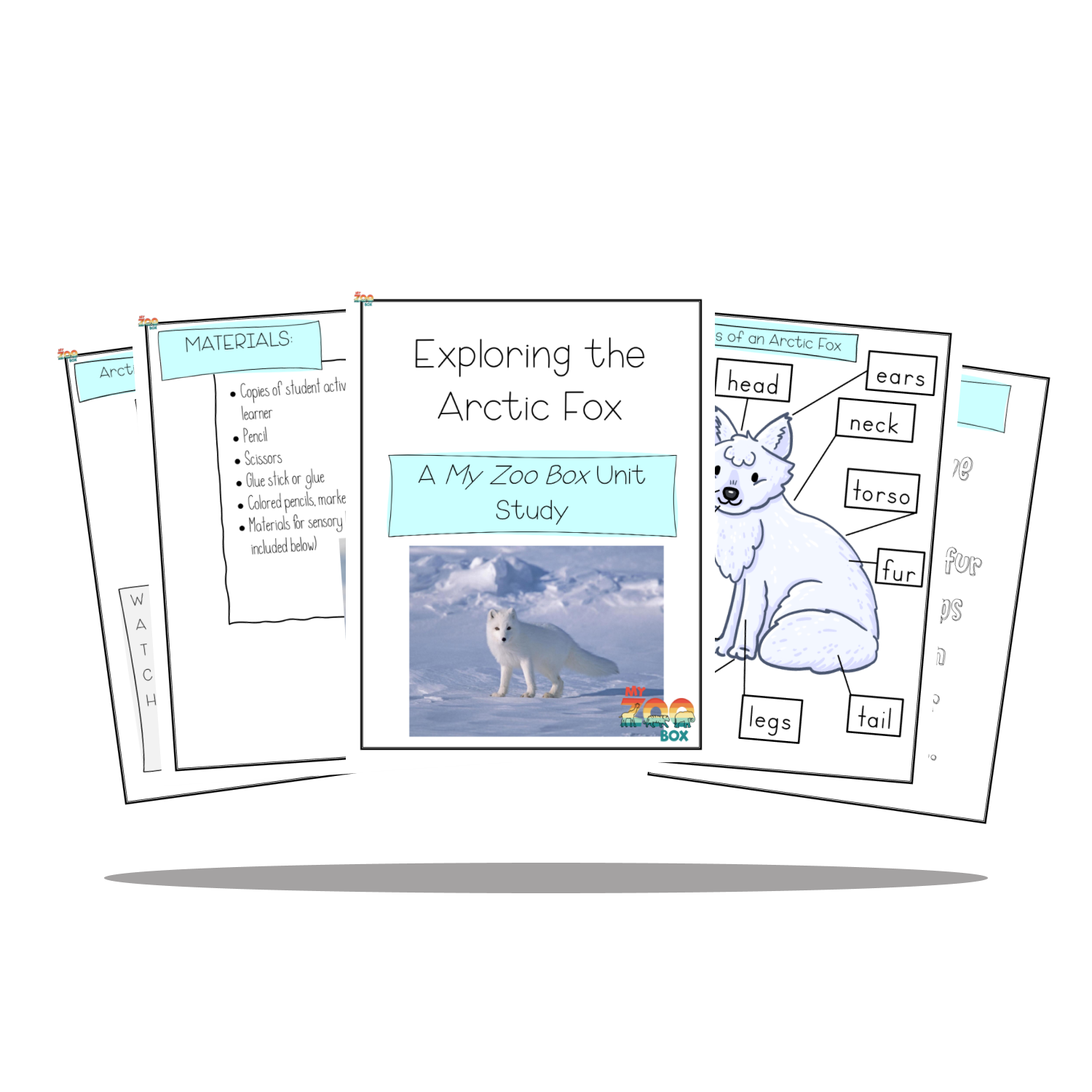 Kids’ Zoology Club Boxes | My ZOO Box