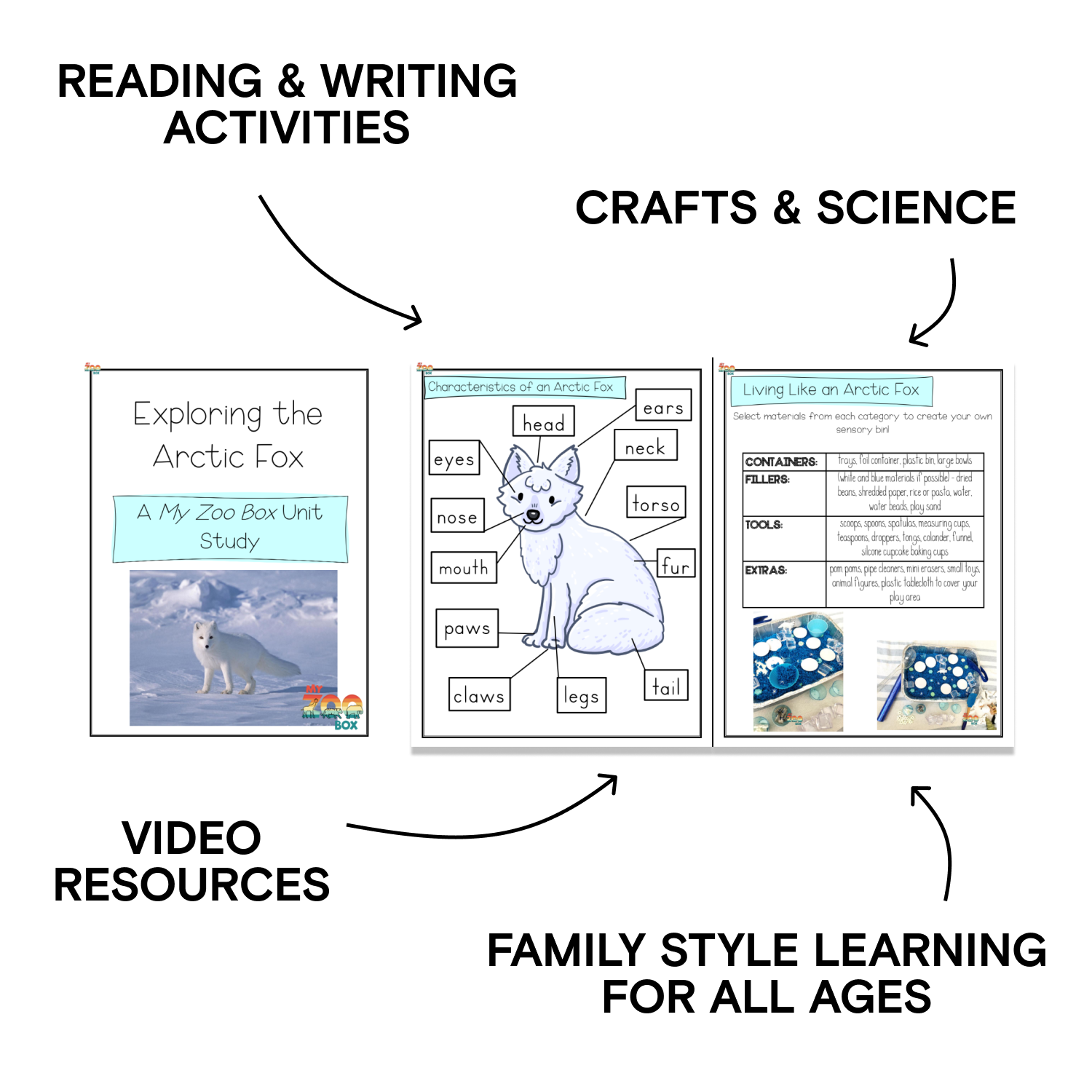 Kids’ Zoology Club Boxes | My ZOO Box