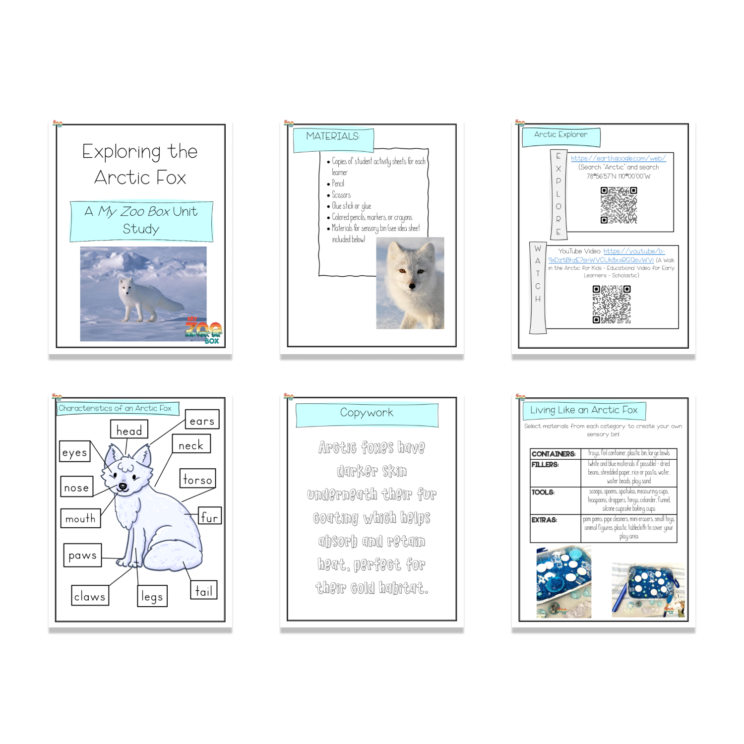 Kids’ Zoology Club Boxes | My ZOO Box