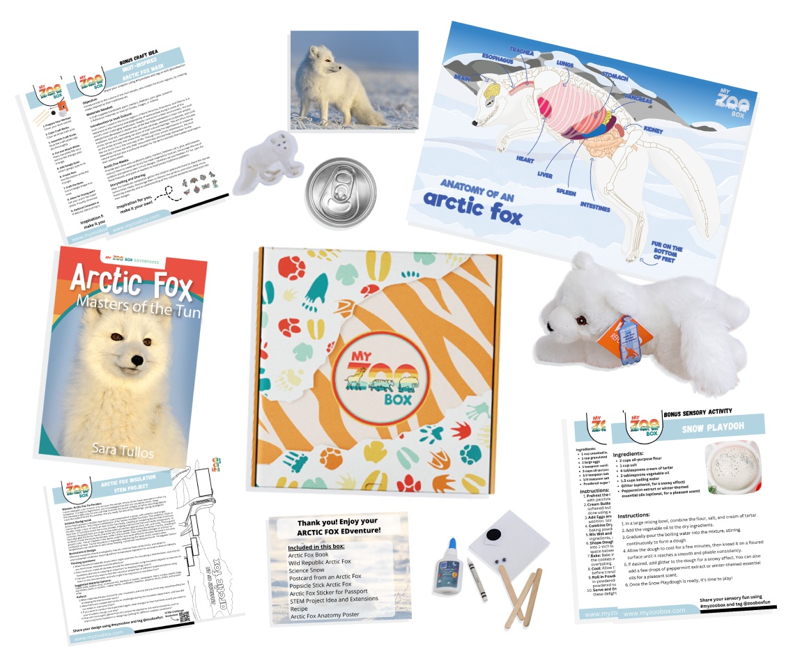 Kids’ Zoology Subscription Boxes | My ZOO Box