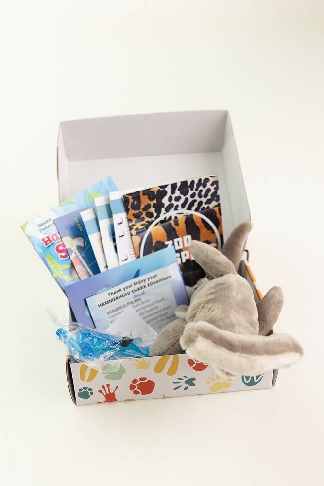 Kids’ Zoology Club Boxes | My ZOO Box