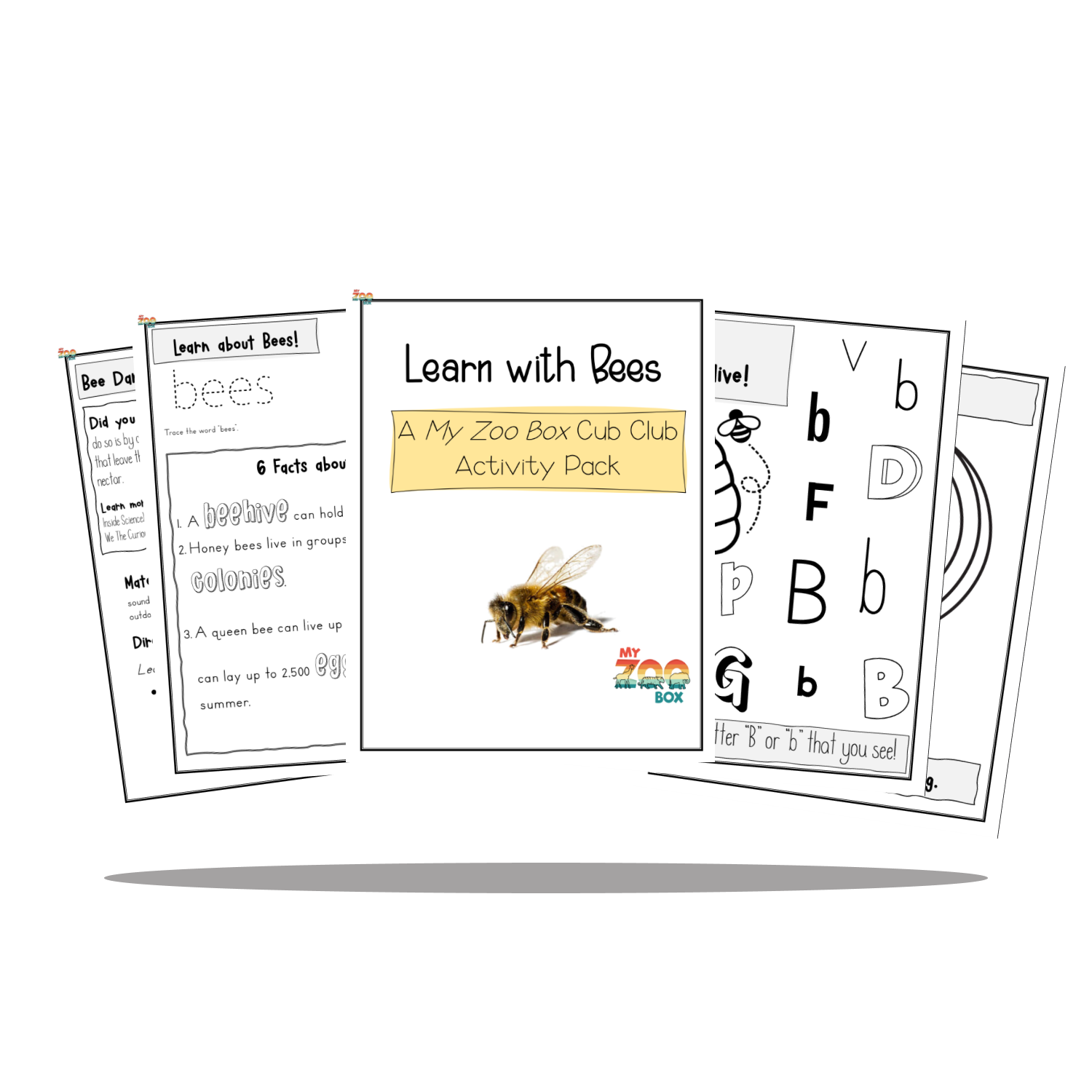 Kids’ Zoology Club Boxes | My ZOO Box