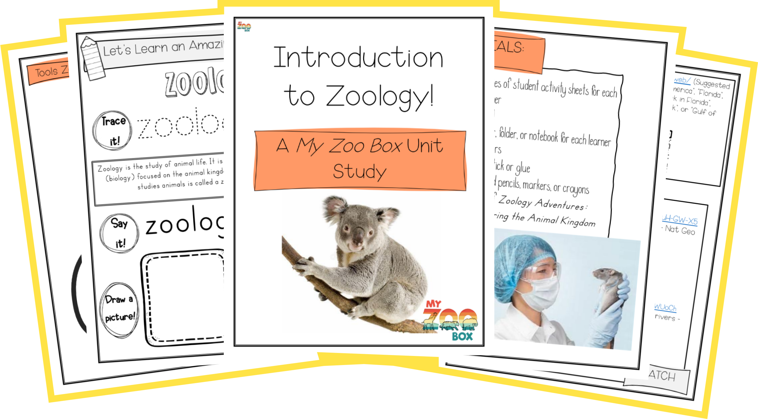 Kids’ Zoology Club Boxes | My ZOO Box