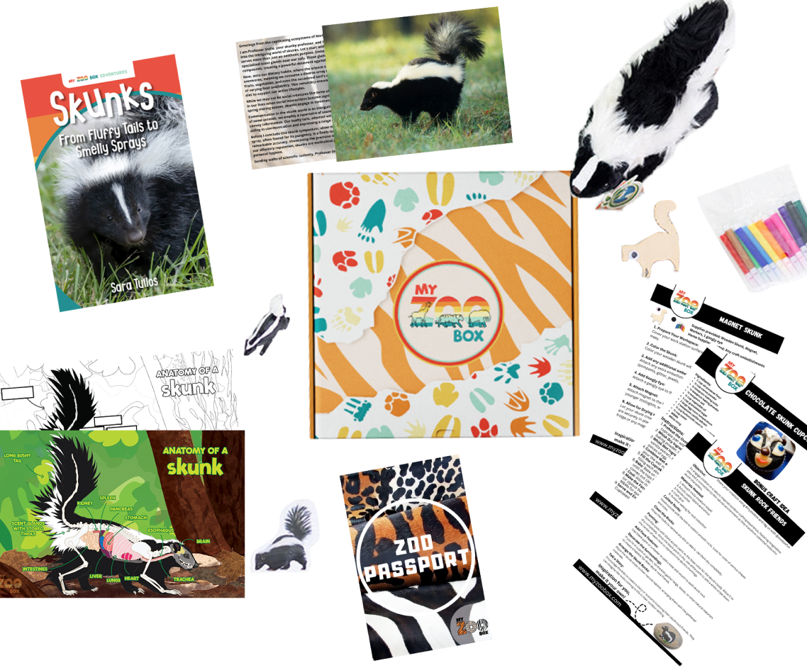 Kids’ Zoology Club Boxes | My ZOO Box