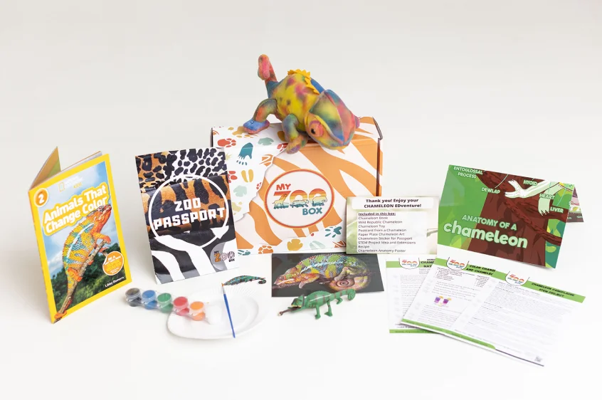 Kids’ Zoology Club Boxes | My ZOO Box