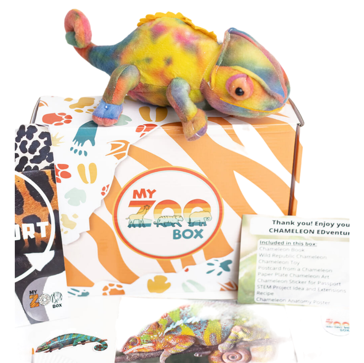 Kids’ Zoology Club Boxes | My ZOO Box