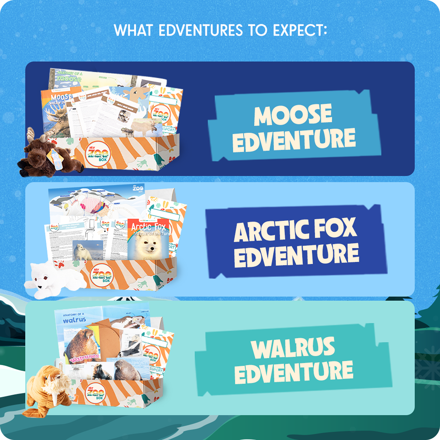 Kids’ Zoology Club Boxes | My ZOO Box