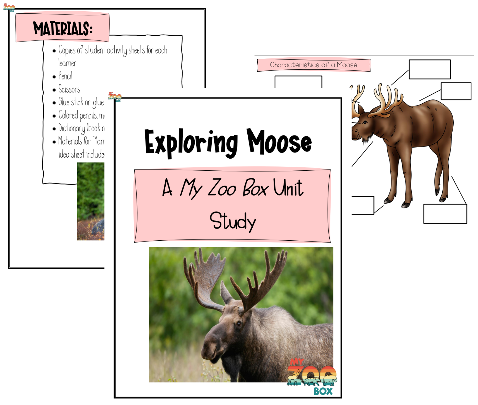 Kids’ Zoology Club Boxes | My ZOO Box