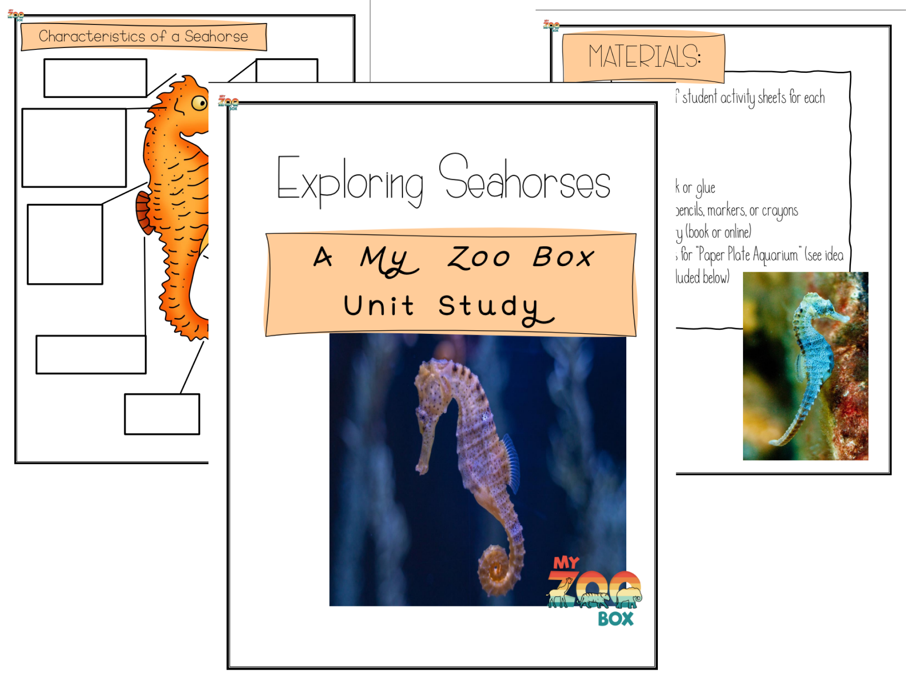Kids’ Zoology Club Boxes | My ZOO Box