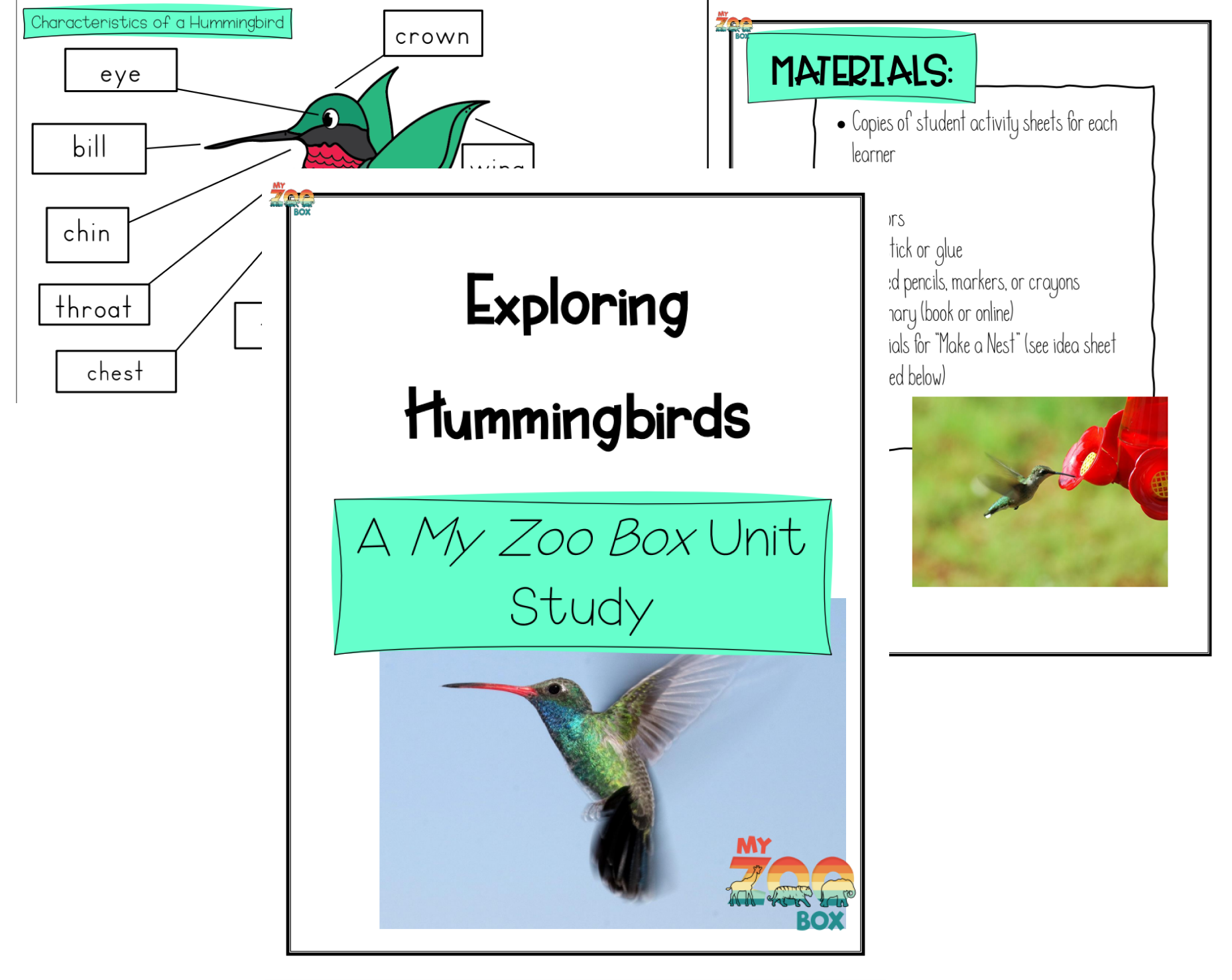 Kids’ Zoology Club Boxes | My ZOO Box