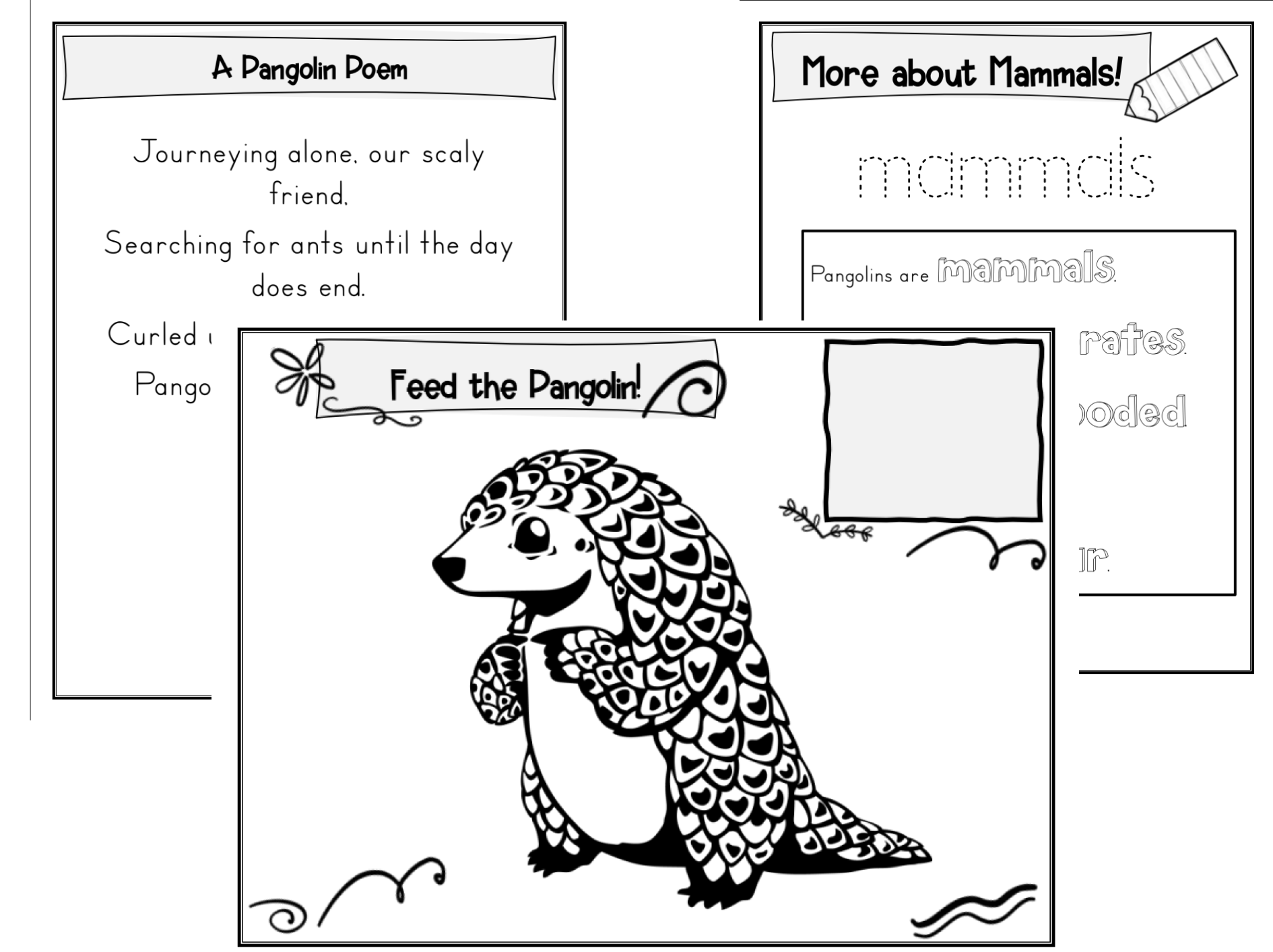 Kids’ Zoology Club Boxes | My ZOO Box