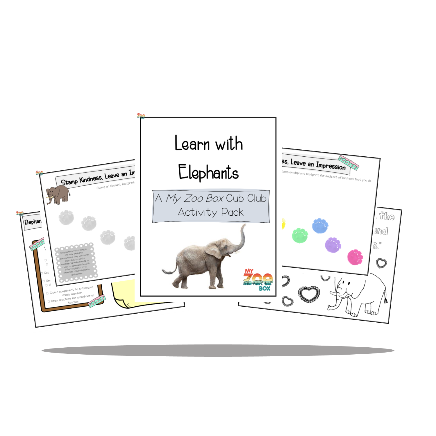 Kids’ Zoology Club Boxes | My ZOO Box