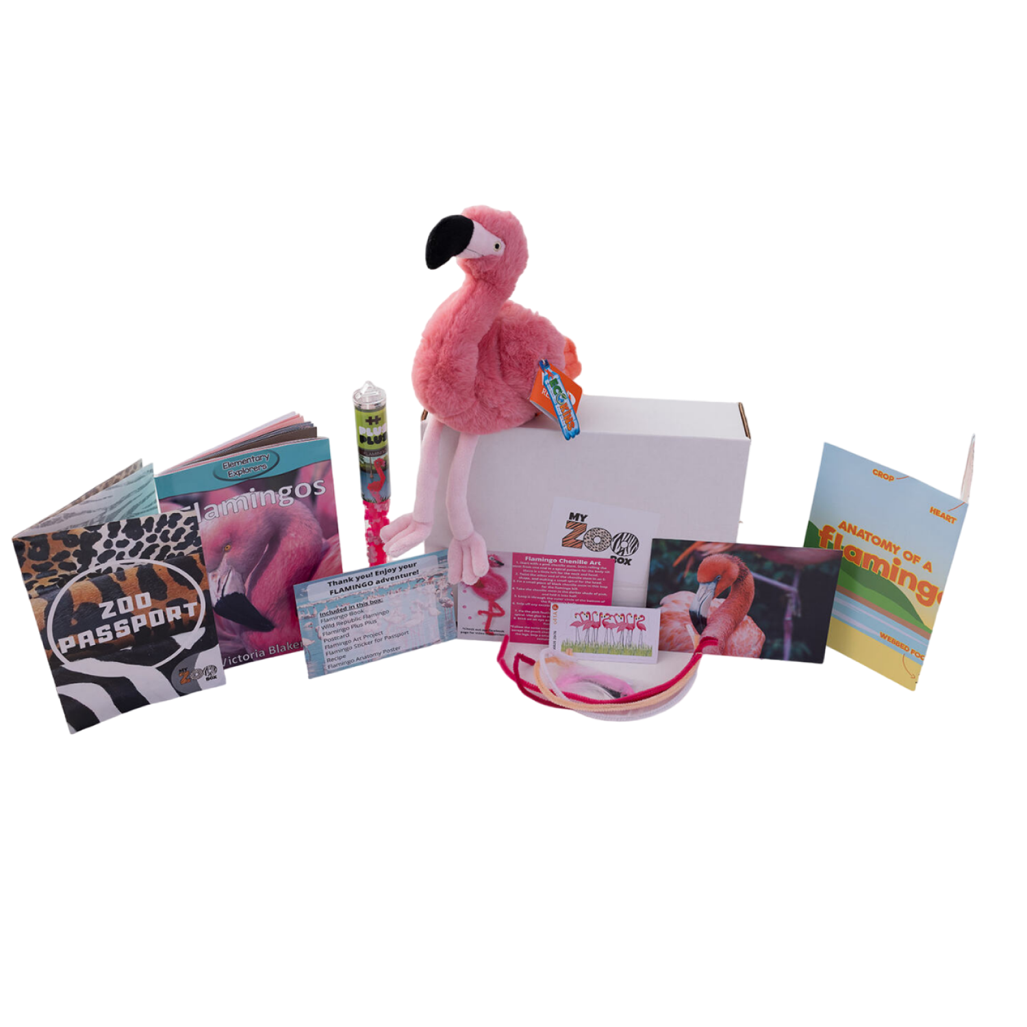 Kids’ Zoology Club Boxes | My ZOO Box