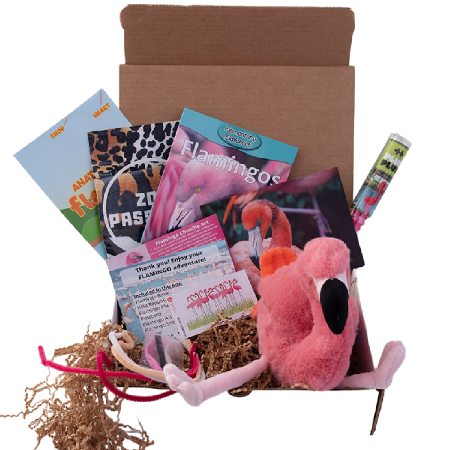 Kids’ Zoology Club Boxes | My ZOO Box