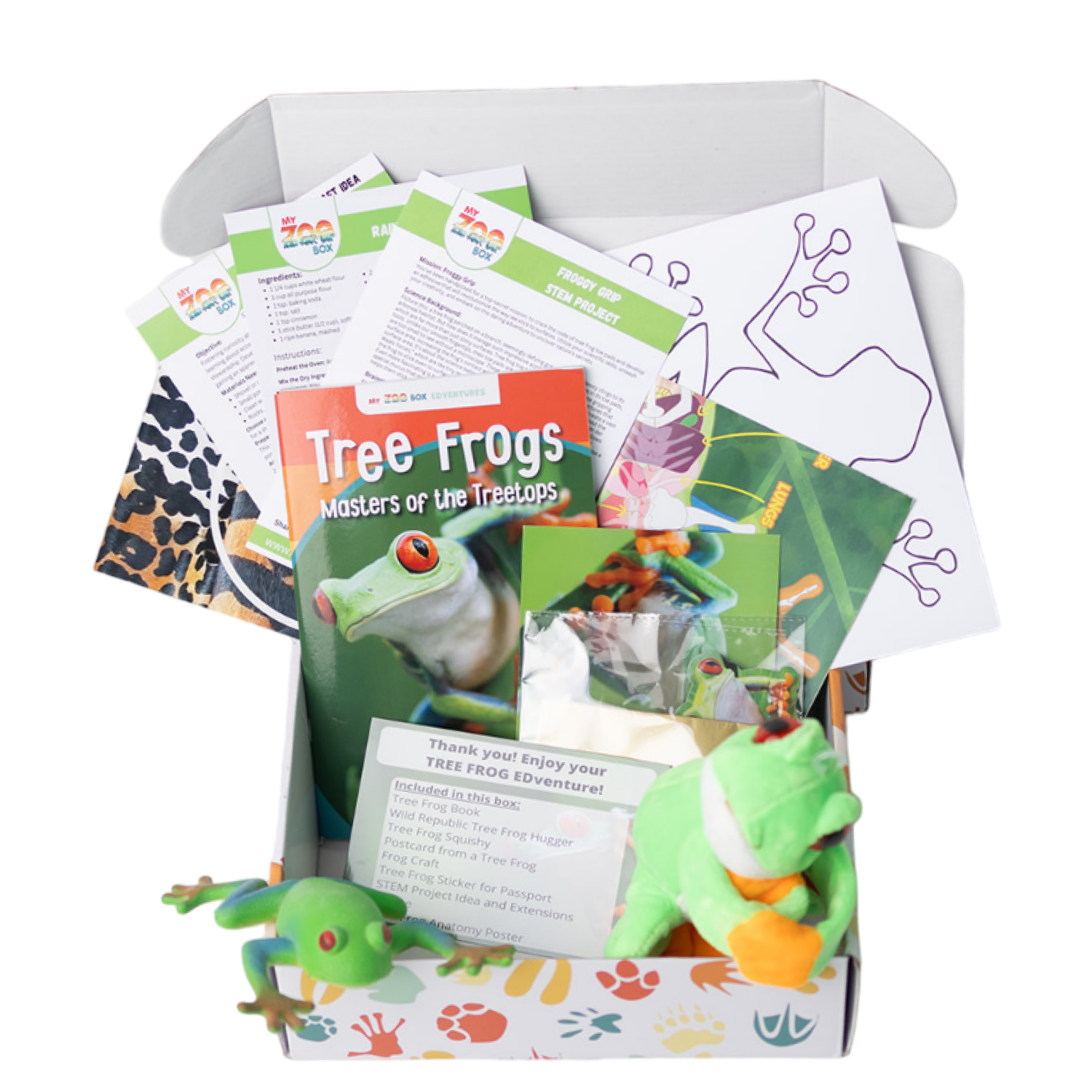 Kids’ Zoology Club Boxes | My ZOO Box