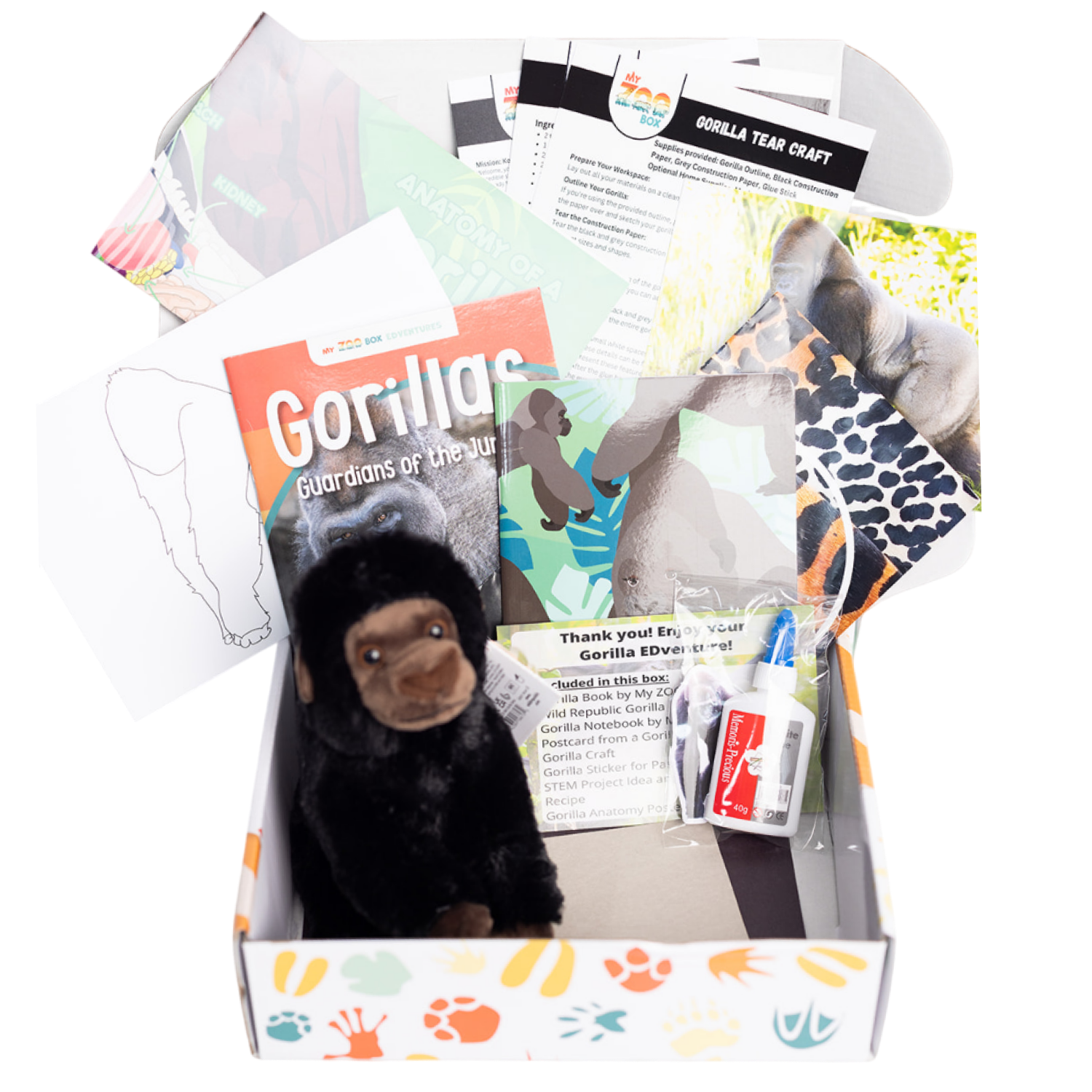 Kids’ Zoology Club Boxes | My ZOO Box