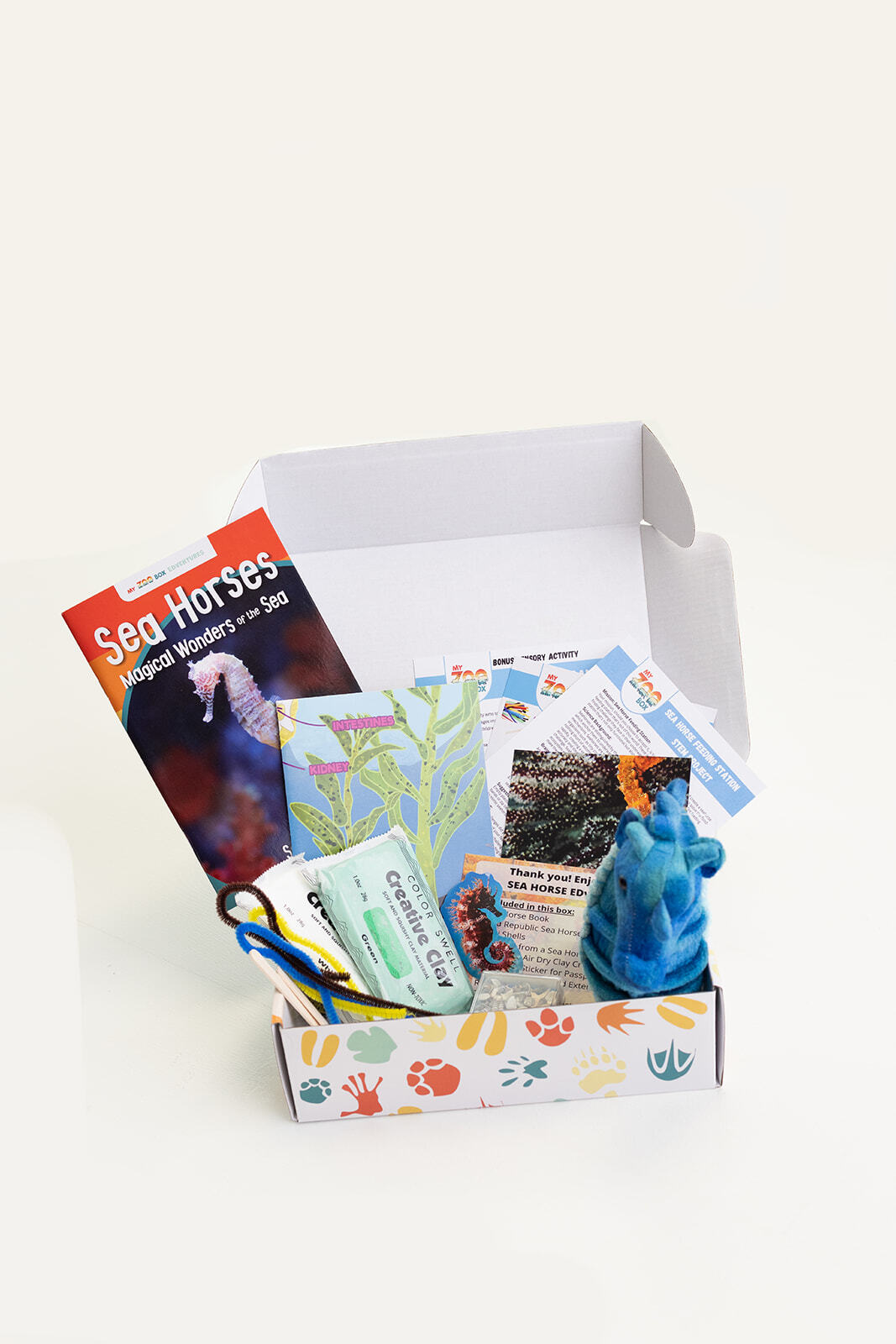 Kids’ Zoology Club Boxes | My ZOO Box