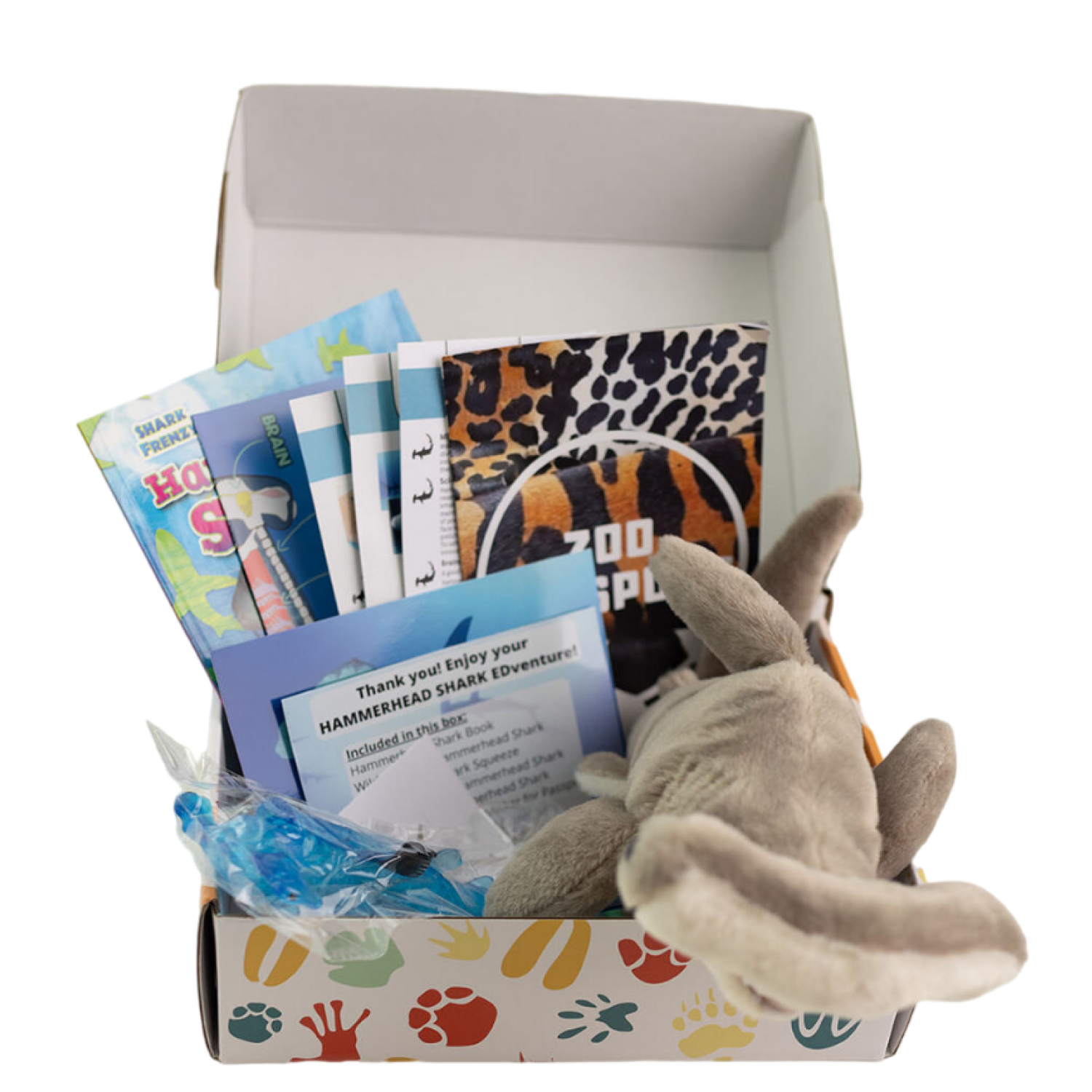 Kids’ Zoology Club Boxes | My ZOO Box
