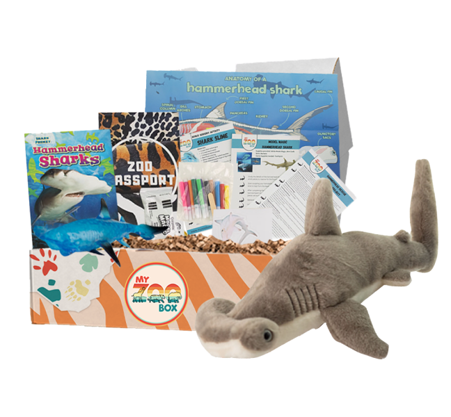 Kids’ Zoology Subscription Boxes | My ZOO Box