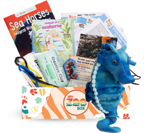 Kids’ Zoology Subscription Boxes | My ZOO Box