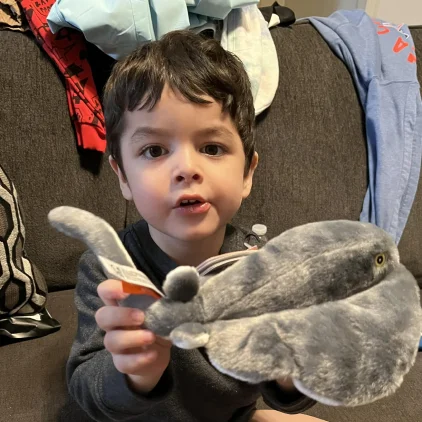 Kids’ Zoology Club Boxes | My ZOO Box