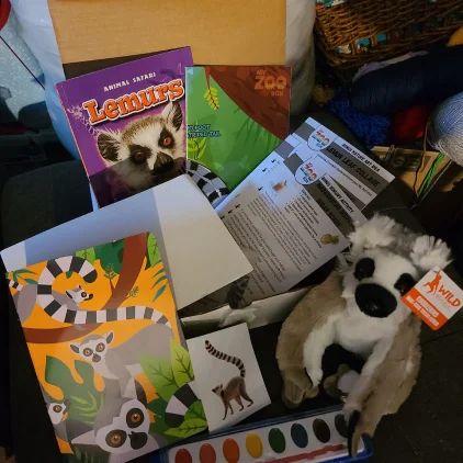 Kids’ Zoology Club Boxes | My ZOO Box