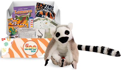 Kids’ Zoology Subscription Boxes | My ZOO Box