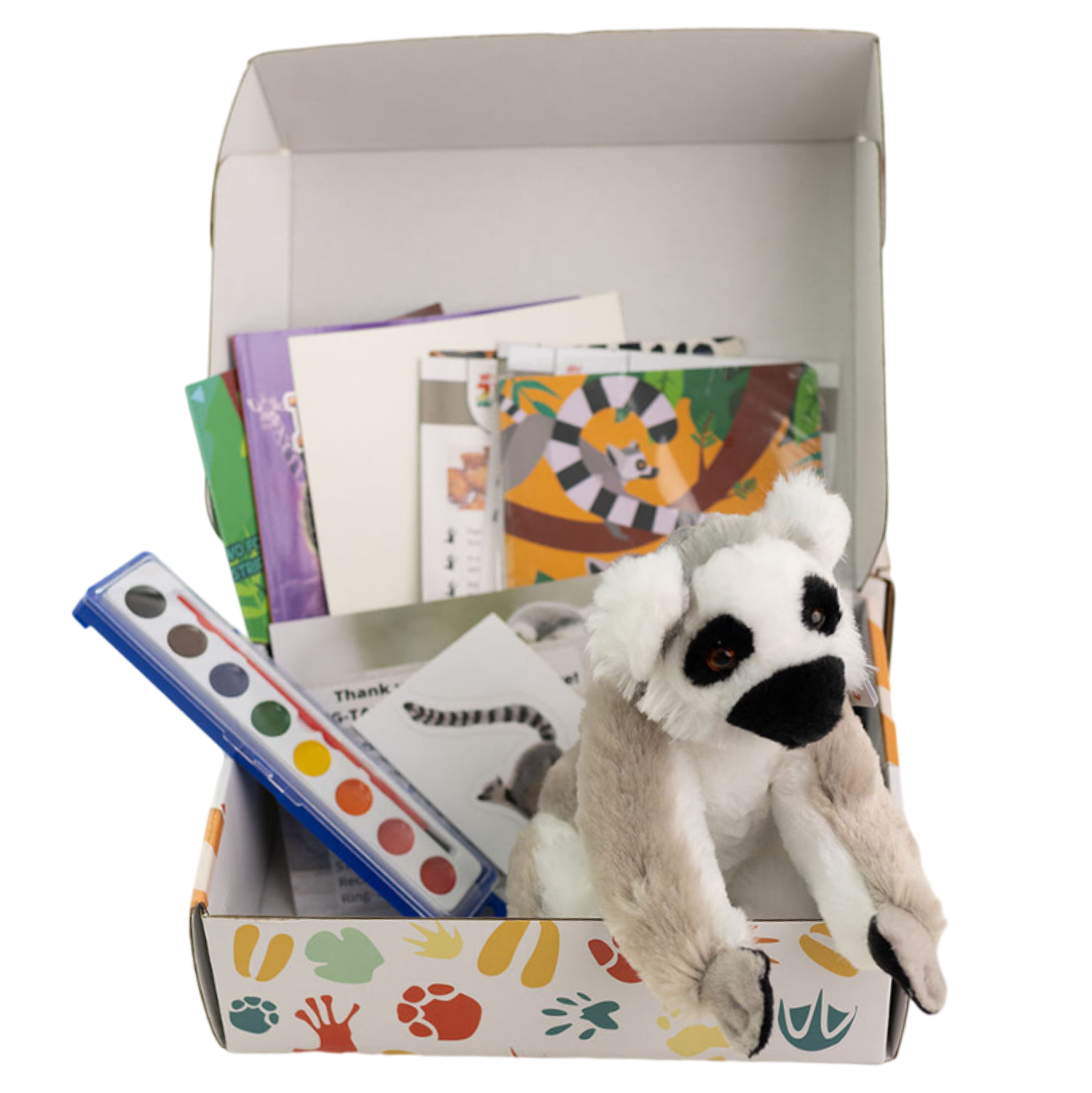 Kids’ Zoology Club Boxes | My ZOO Box