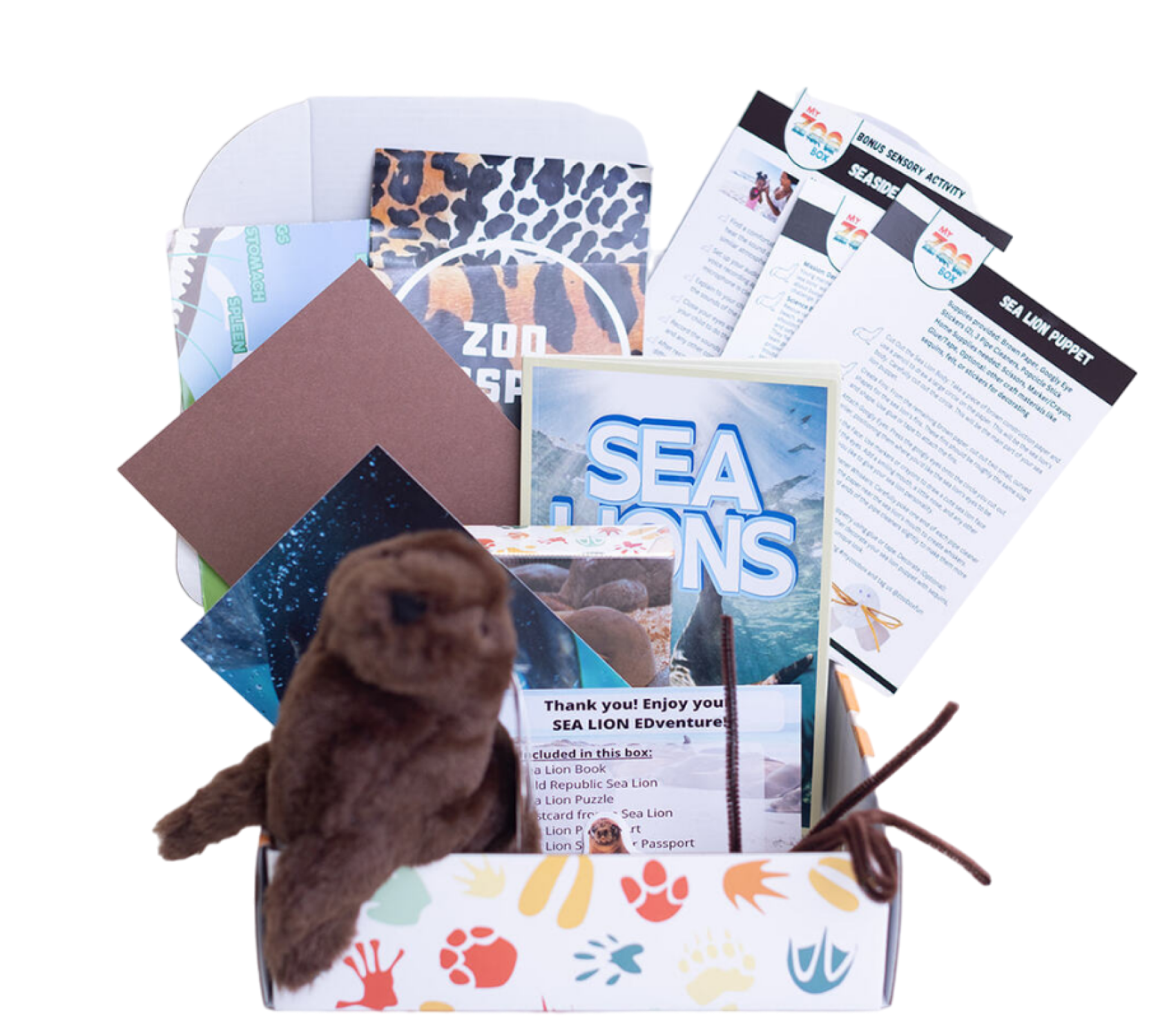 Kids’ Zoology Club Boxes | My ZOO Box