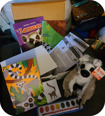 Kids’ Zoology Club Boxes | My ZOO Box