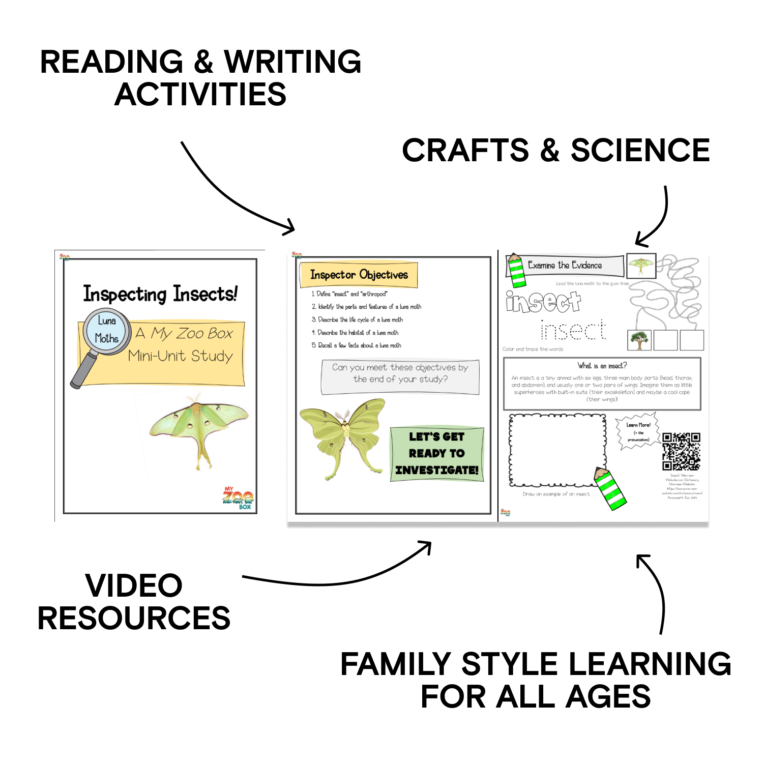 Kids’ Zoology Club Boxes | My ZOO Box