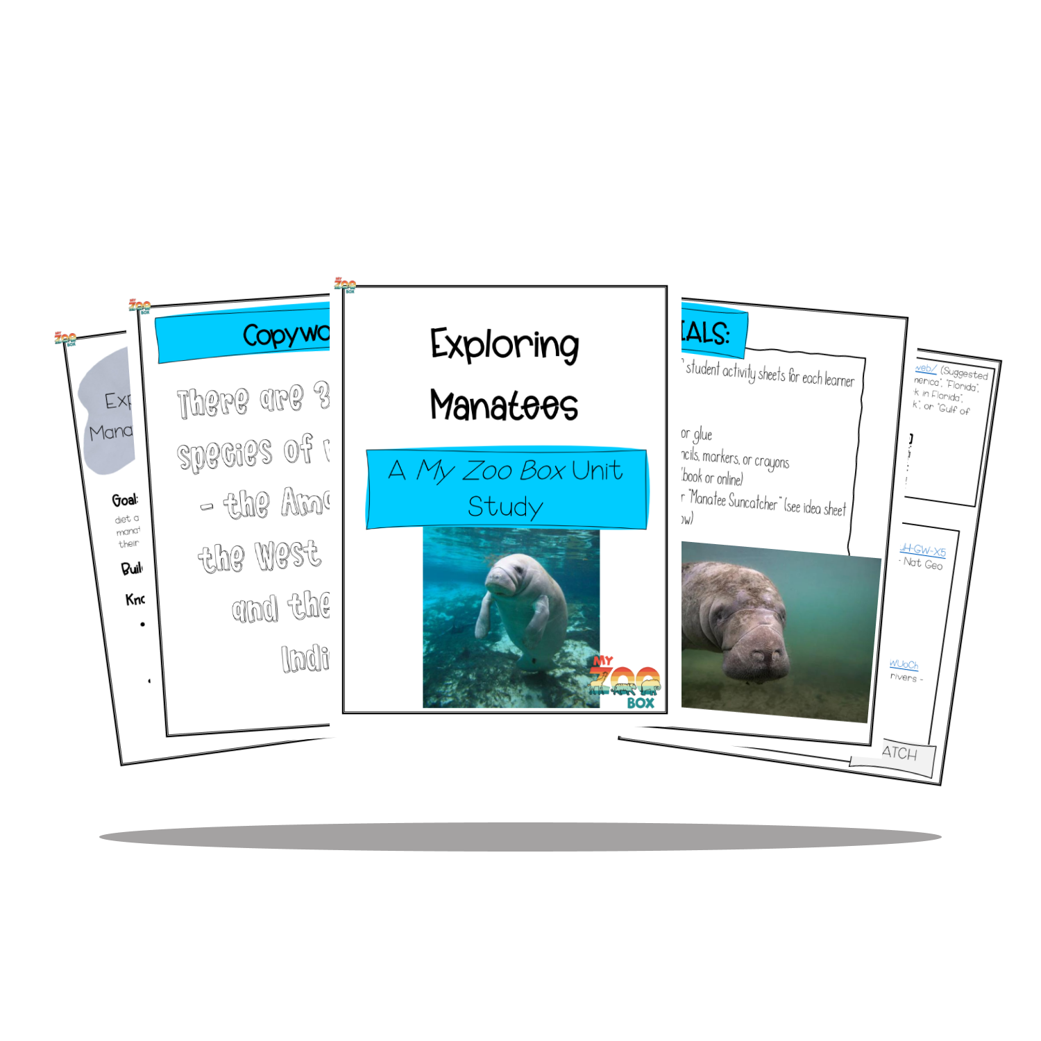 Kids’ Zoology Club Boxes | My ZOO Box