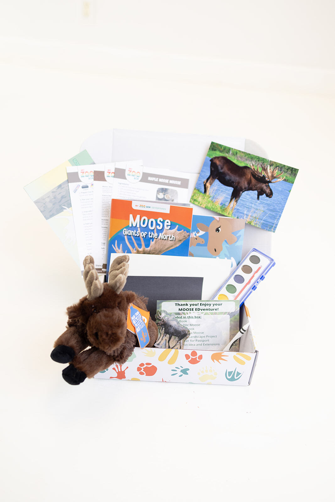 Kids’ Zoology Club Boxes | My ZOO Box