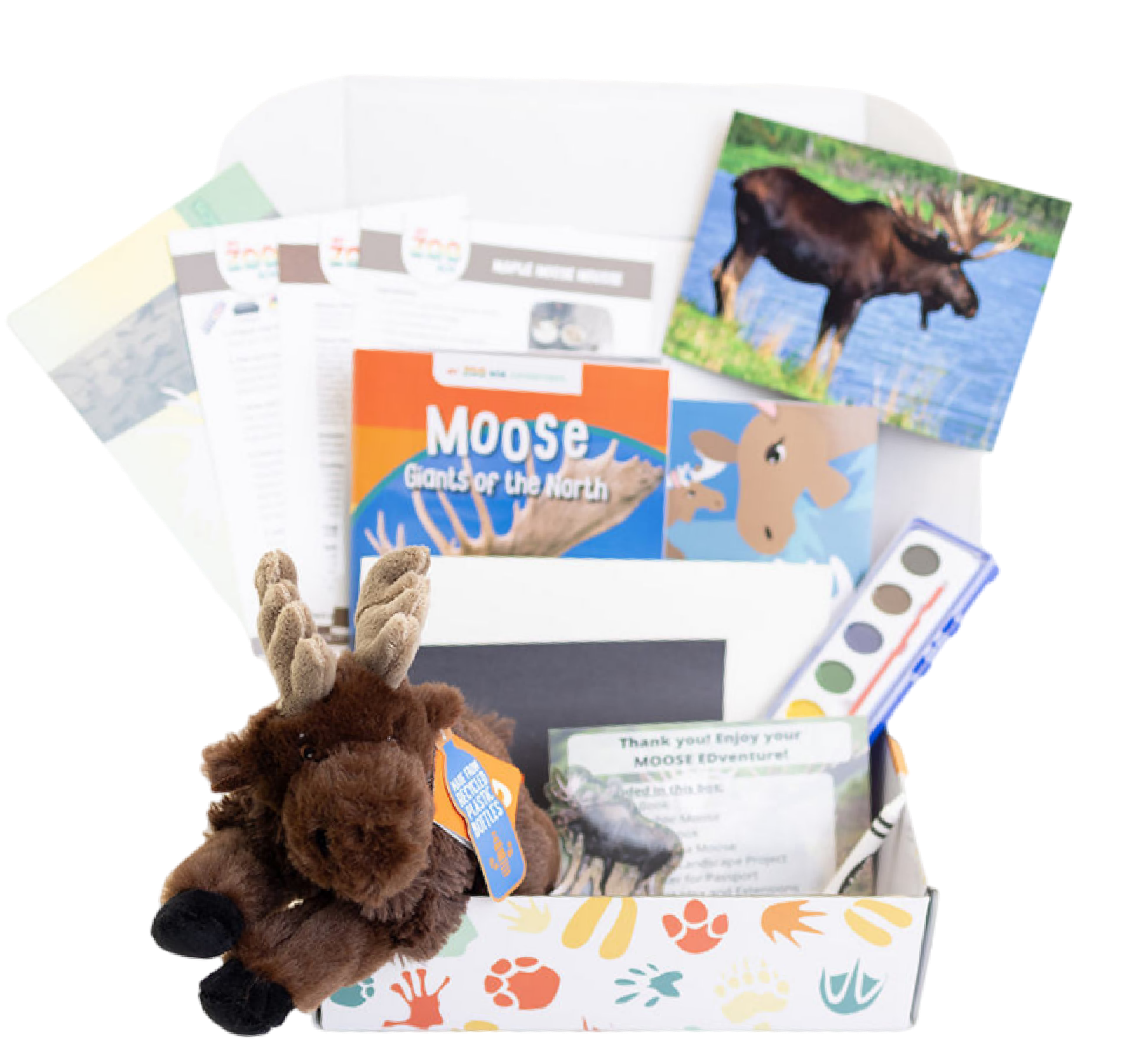 Kids’ Zoology Club Boxes | My ZOO Box