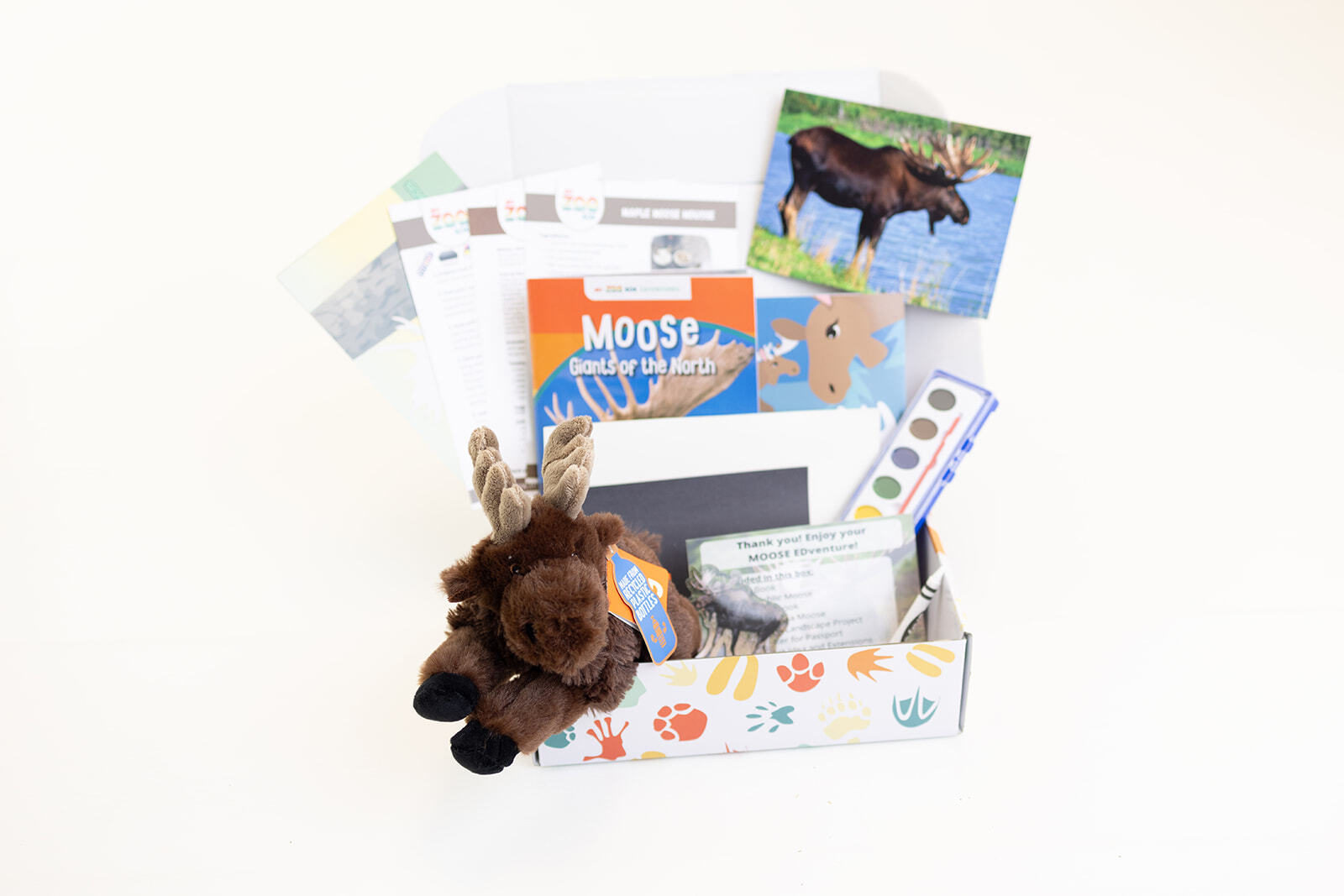 Kids’ Zoology Club Boxes | My ZOO Box