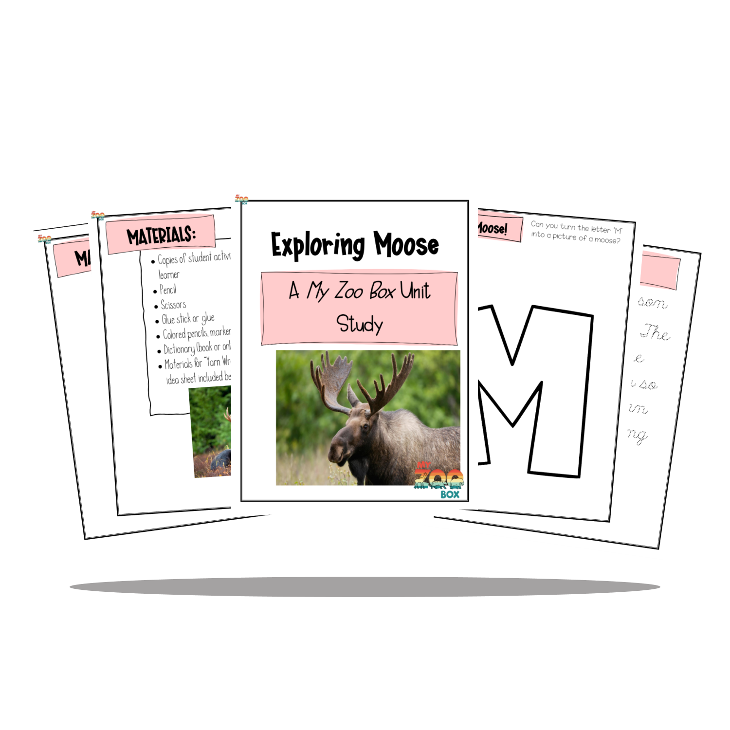 Kids’ Zoology Club Boxes | My ZOO Box