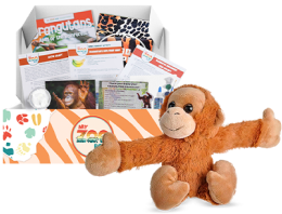 Kids’ Zoology Subscription Boxes | My ZOO Box