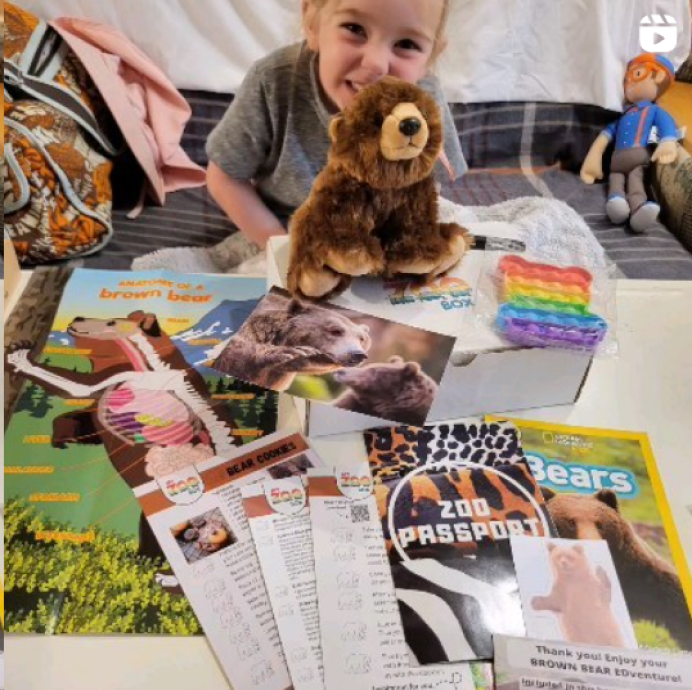 Kids’ Zoology Club Boxes | My ZOO Box