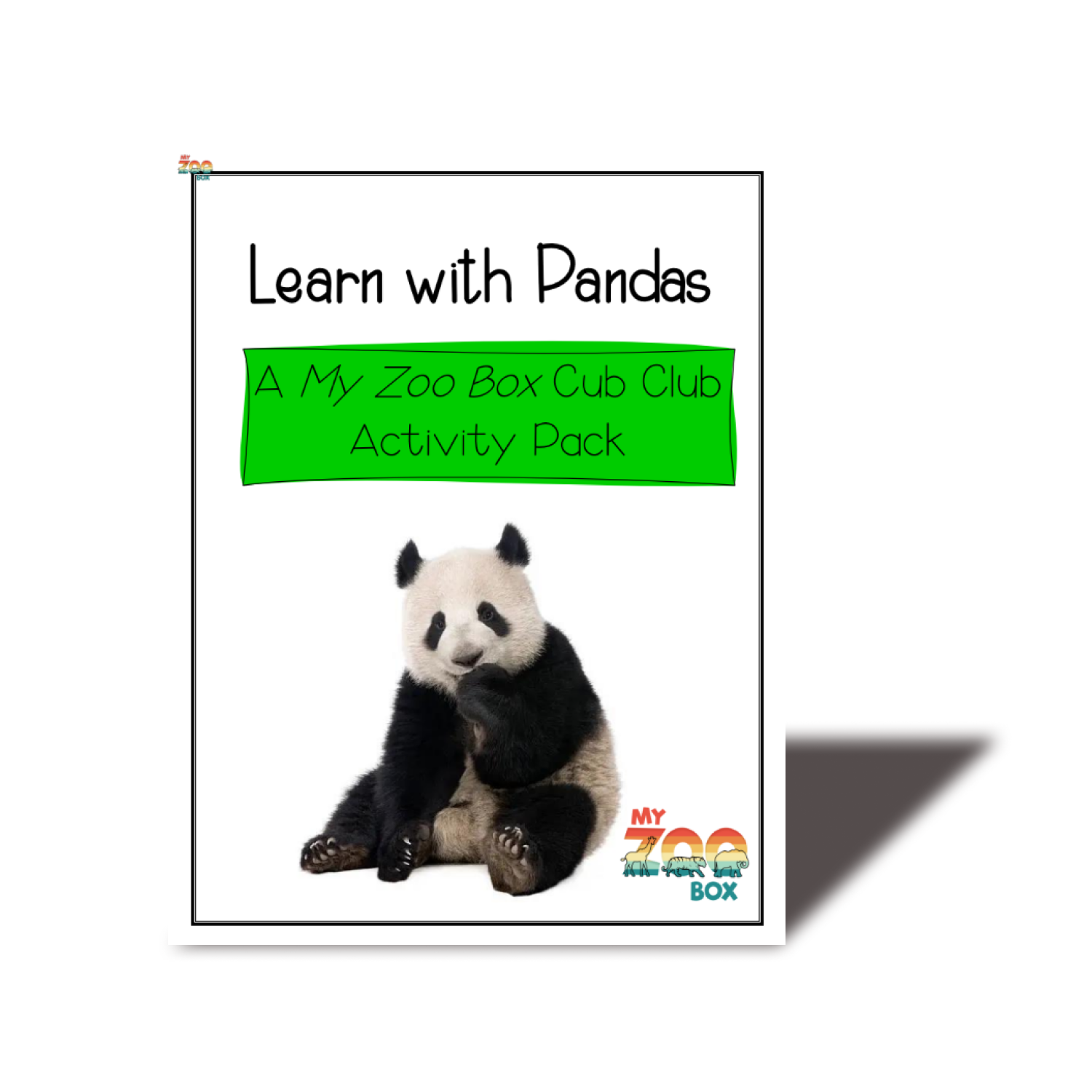 Zoologists At Work With Pandas
