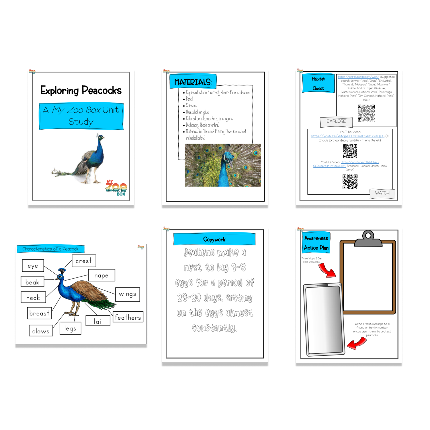 Kids’ Zoology Club Boxes | My ZOO Box