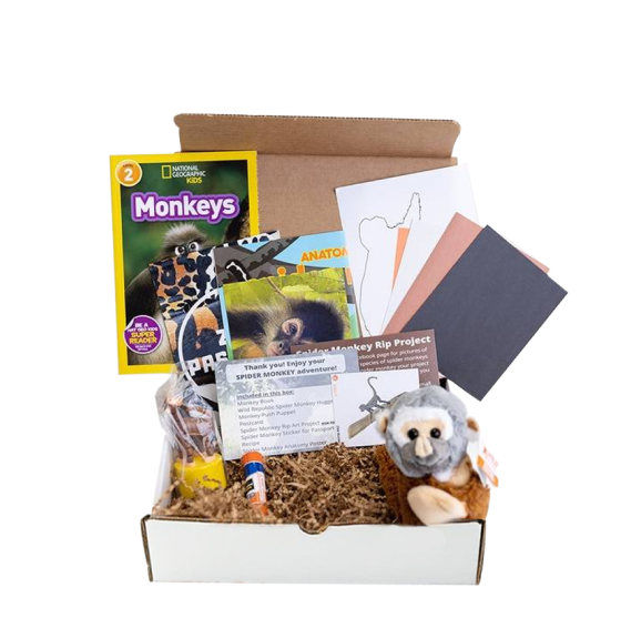Kids’ Zoology Subscription Boxes | My ZOO Box